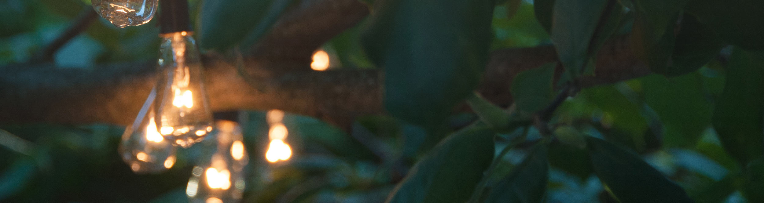 FAQ | The Ellerslie Campus