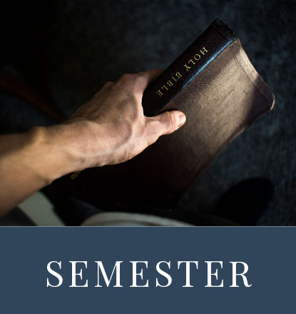 The Ellerslie Campus